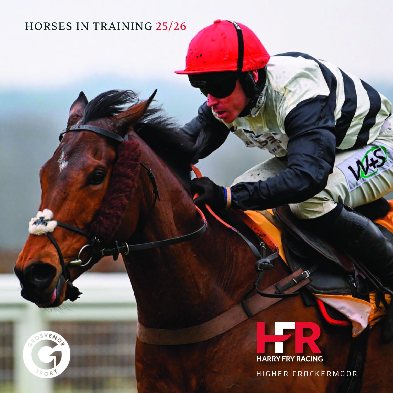 Harry Fry 2025-26 Horses in Training brochure – Wilderspin Shop